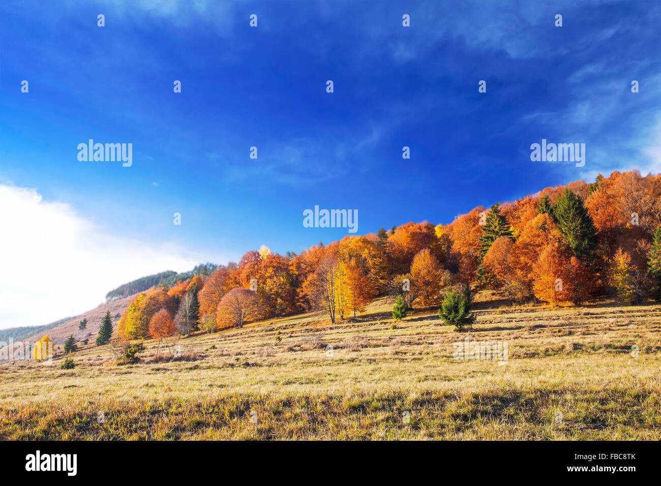 Paysage de campagne d'automne Banque de photographies et d’images à ...
