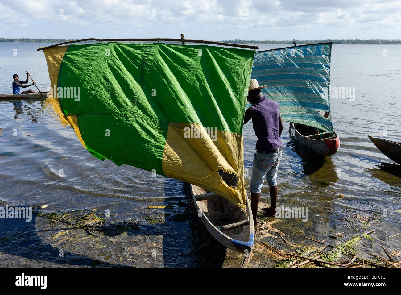 Poisson à voile Banque de photographies et d’images à haute résolution ...