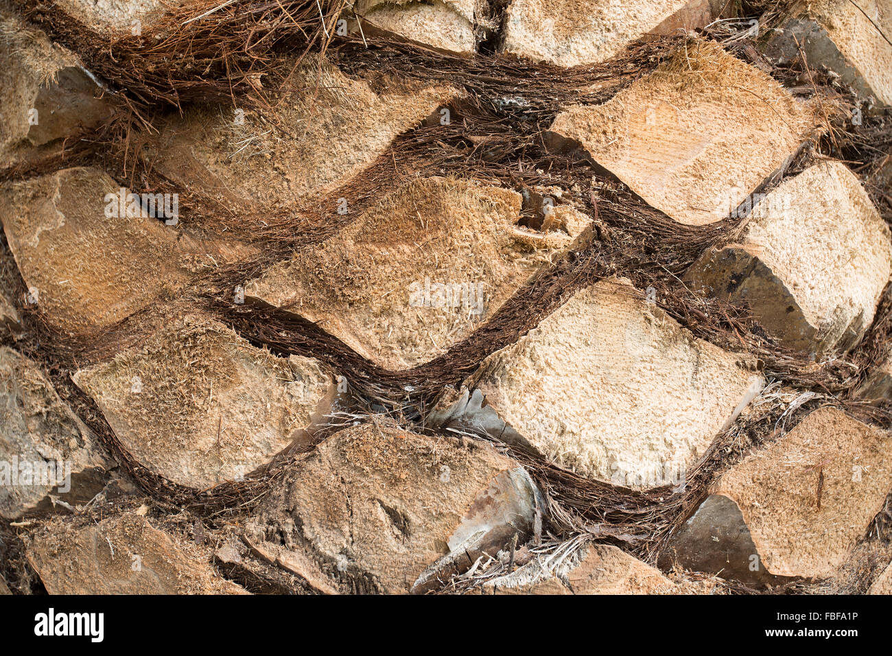 Ancienne route de pierre Banque de photographies et d’images à haute ...