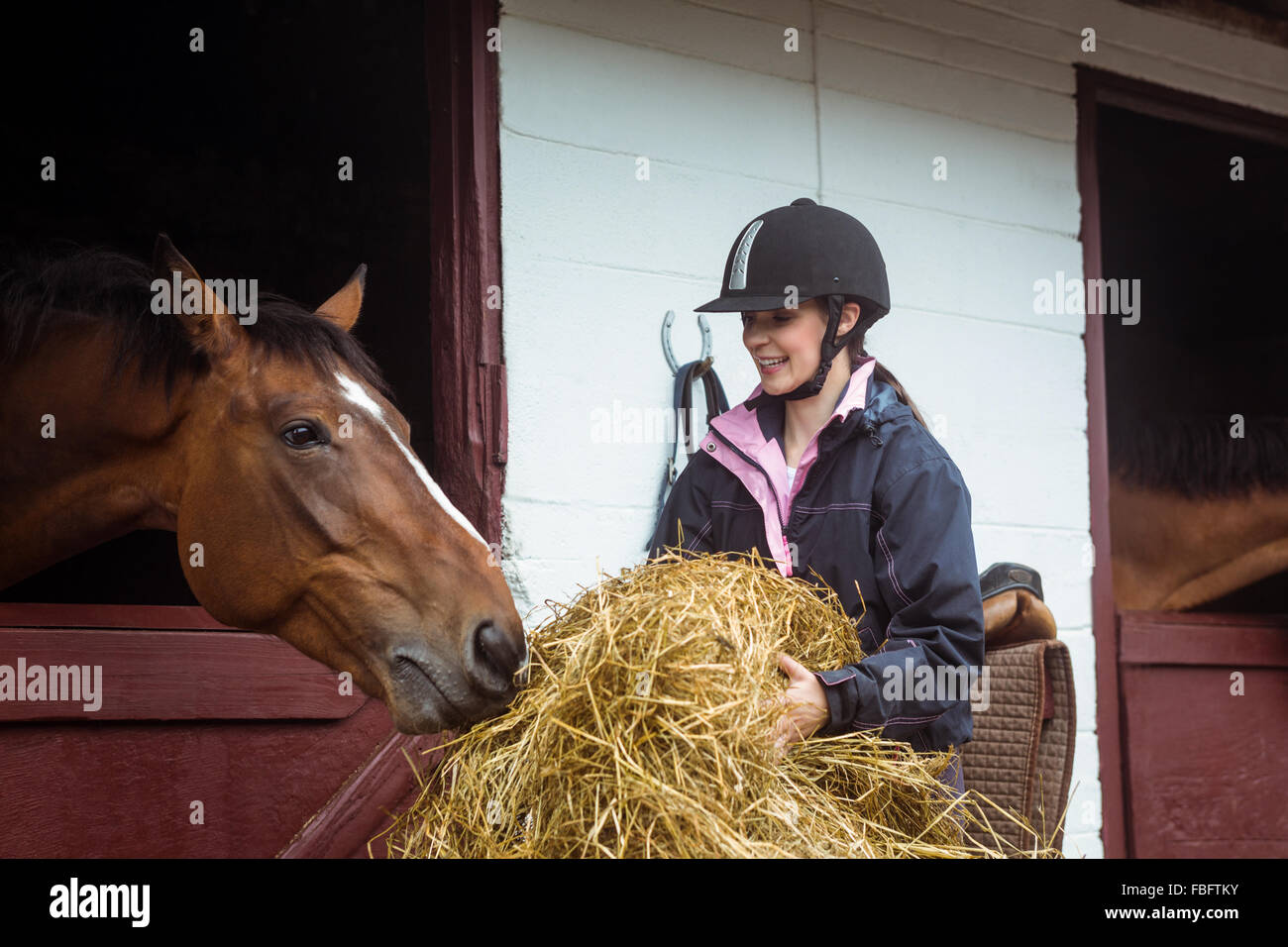 Cheval de paille Banque de photographies et d’images à haute résolution ...
