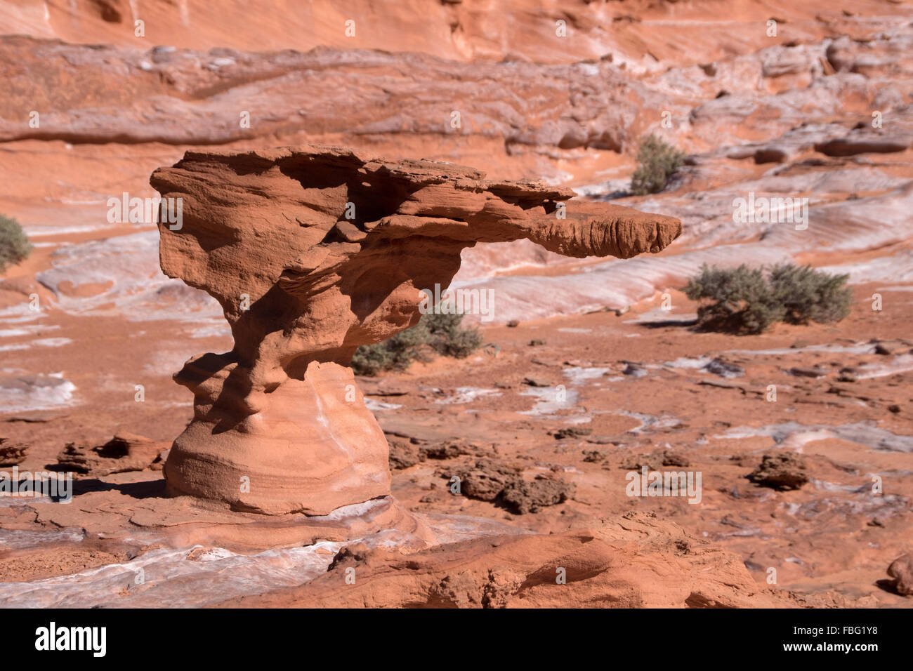 Au Nevada, USA, est située la région de peu la Finlande. Incroyable ce ...