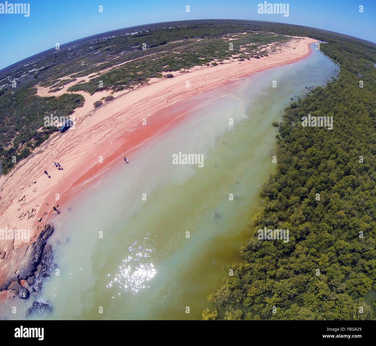Mangroves crab Banque de photographies et d’images à haute résolution ...