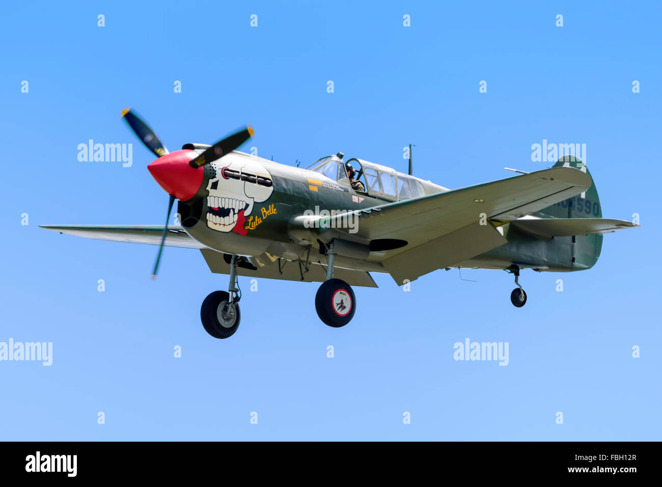 Curtiss P-40 Warhawk en vol avec le train roulant vers le bas (sale ...