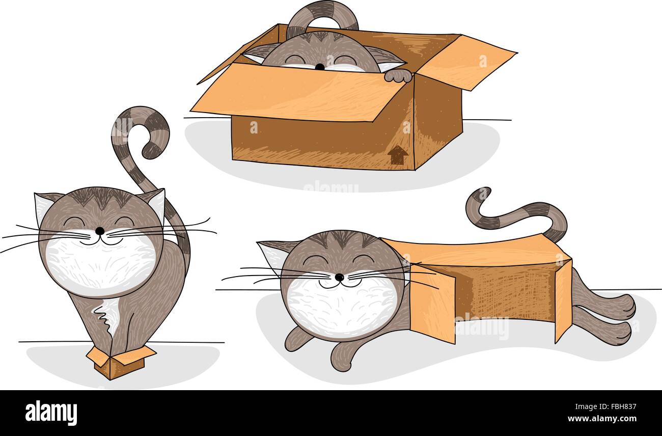 Mignon et funny cartoon chat dans différentes tailles de boîtes de ...