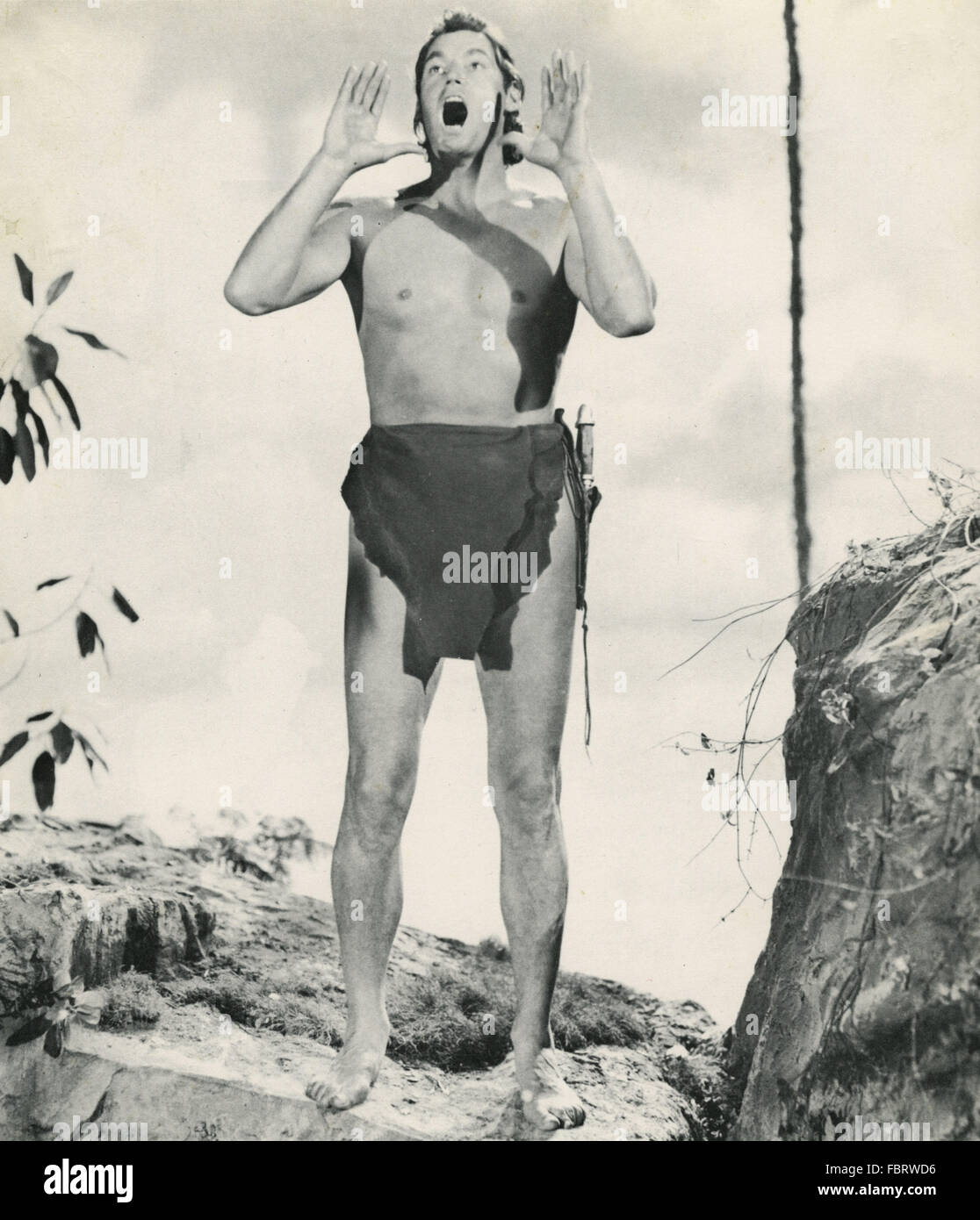 - Johnny Weissmuller Tarzan Photo Stock - Alamy
