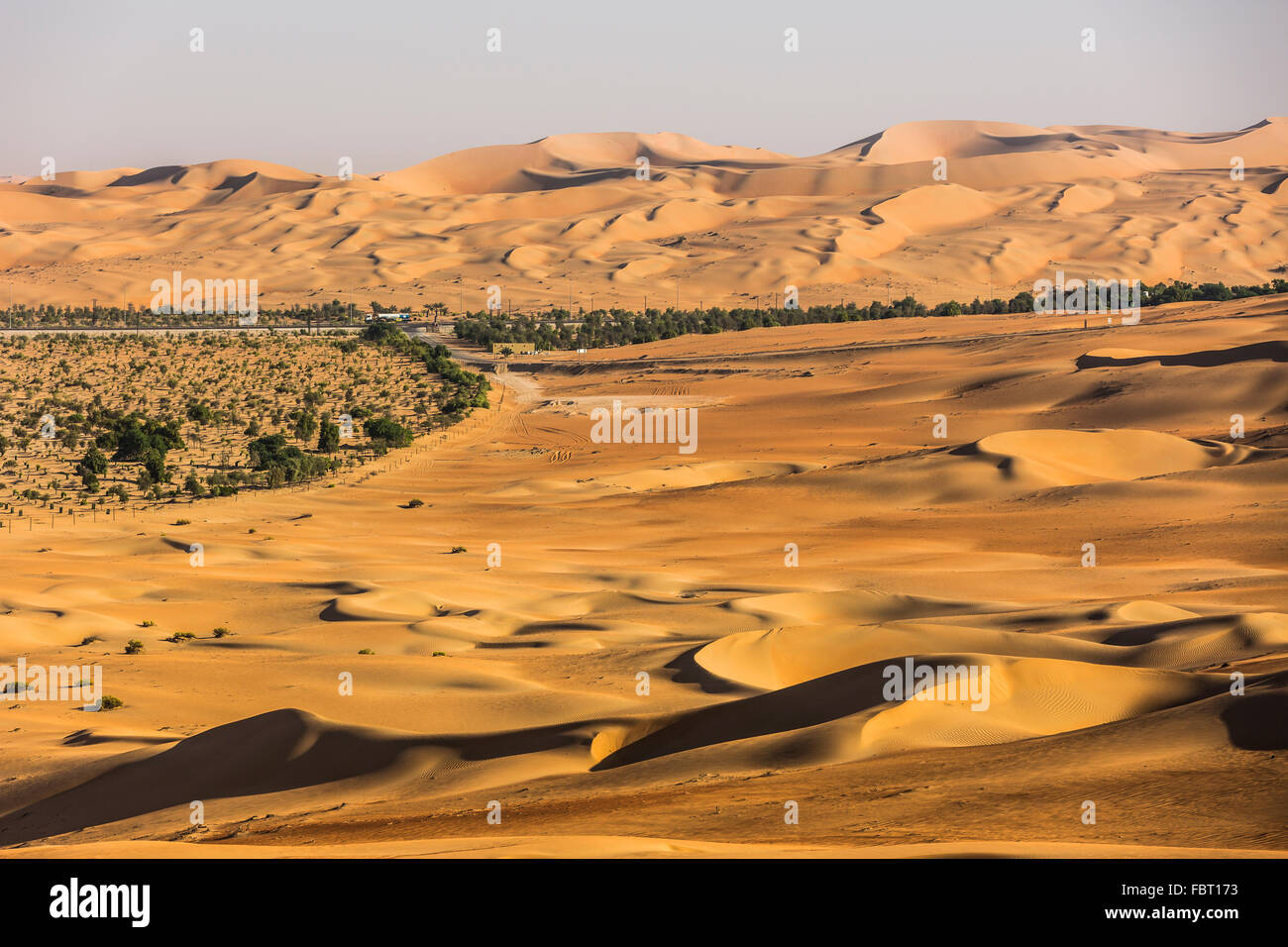 Artificial forest Banque de photographies et d’images à haute ...
