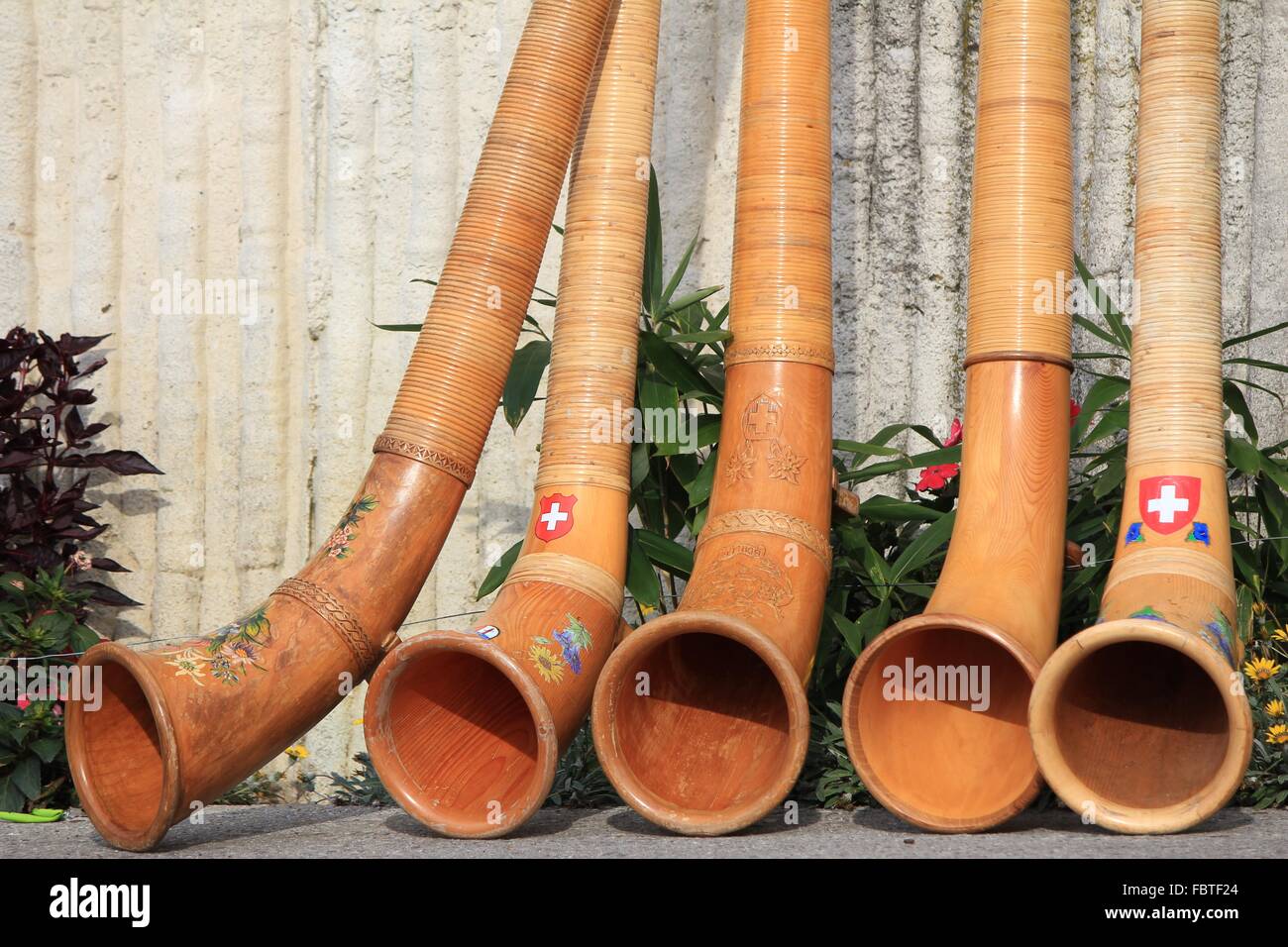 Anneau de corne Banque de photographies et d’images à haute résolution ...