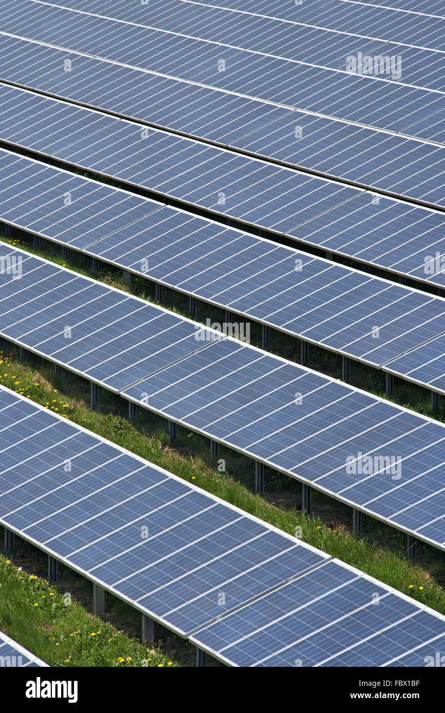 Solar pan elk Banque de photographies et d’images à haute résolution ...