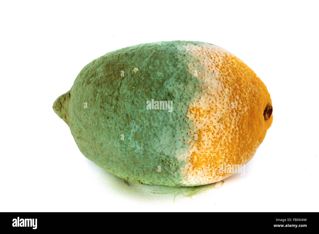 Moldy lemon Banque de photographies et d’images à haute résolution - Alamy