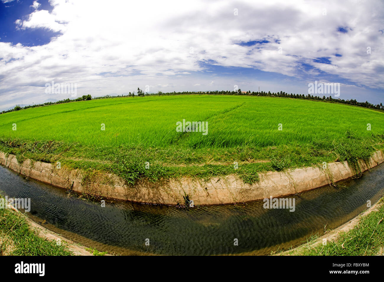 Vietnam irrigation Banque de photographies et d’images à haute ...