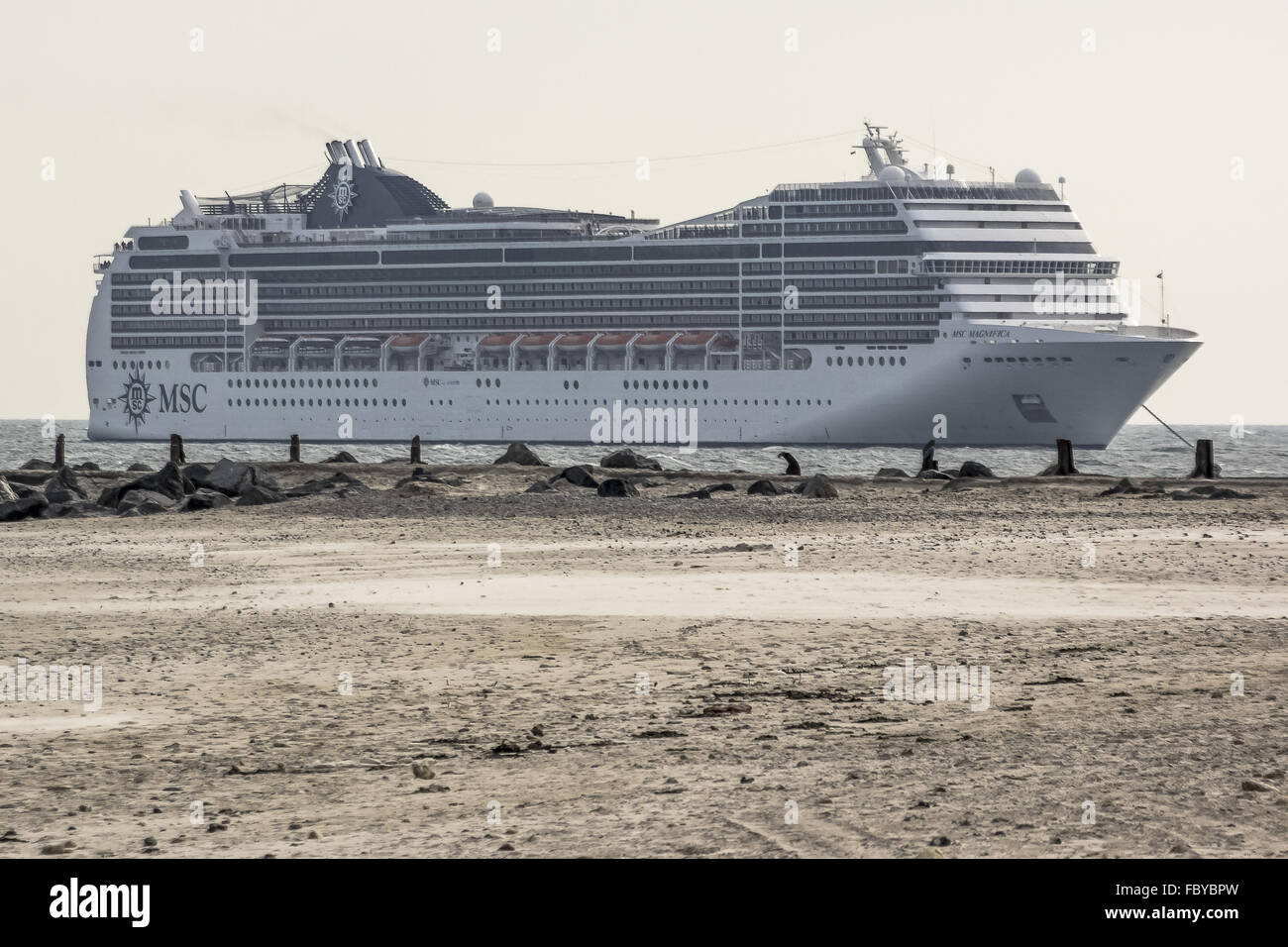 Msc magnifica Banque de photographies et d’images à haute résolution ...