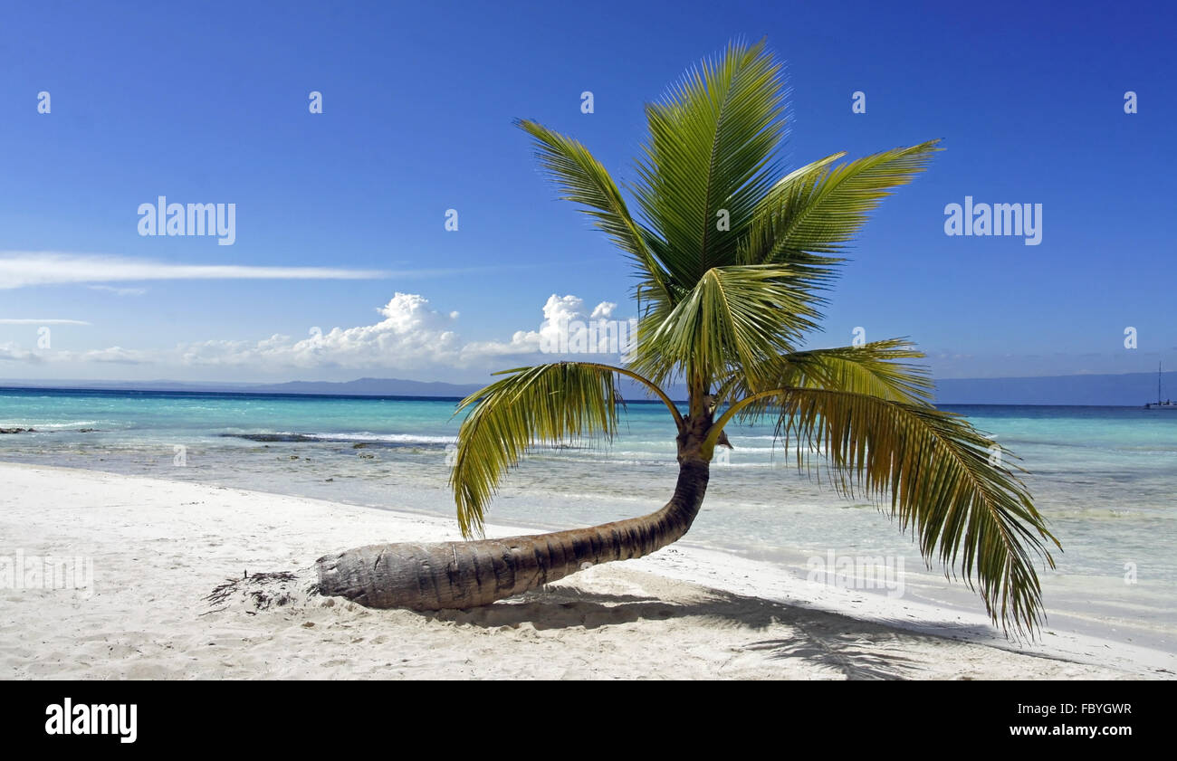 île de saona Banque de photographies et d’images à haute résolution - Alamy