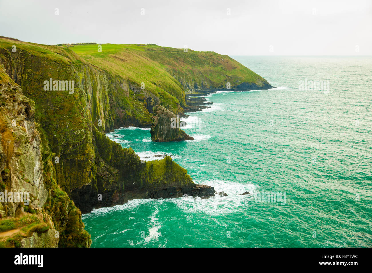 Paysage irlandais. Paysages du littoral de la côte de l'océan ...