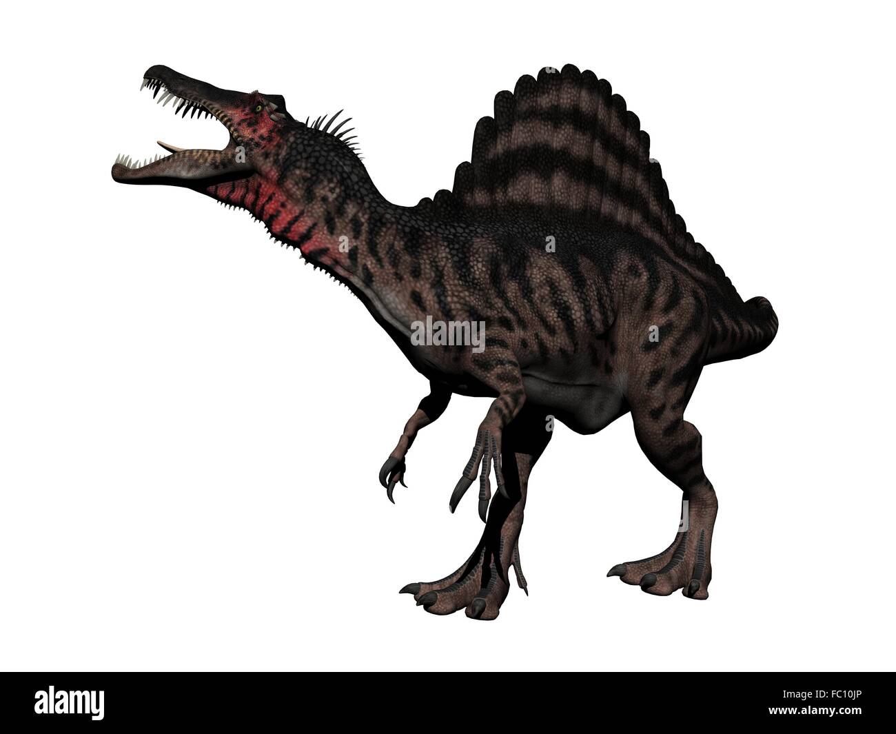 Spinosaurus dinosaur Banque de photographies et d’images à haute résolution - Alamy