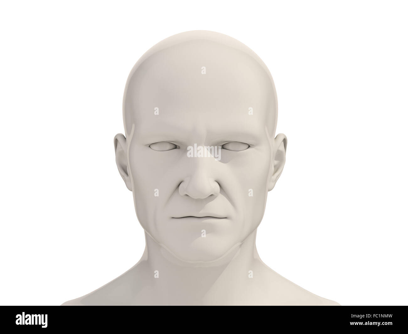 Partes del cuerpo humano cabeza Banque de photographies et d’images à ...