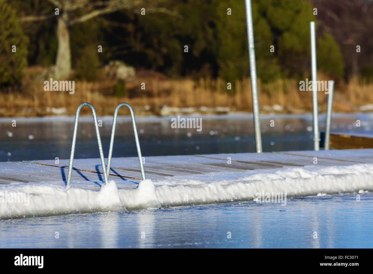 Baignade en mer en hiver Banque de photographies et d’images à haute ...