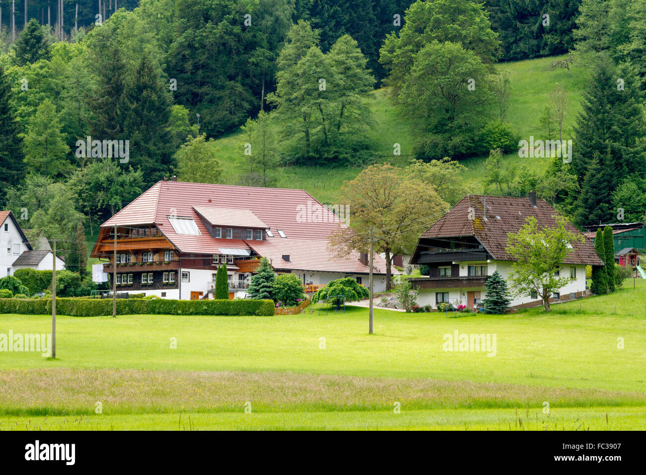 Gutach valley Banque de photographies et d’images à haute résolution ...