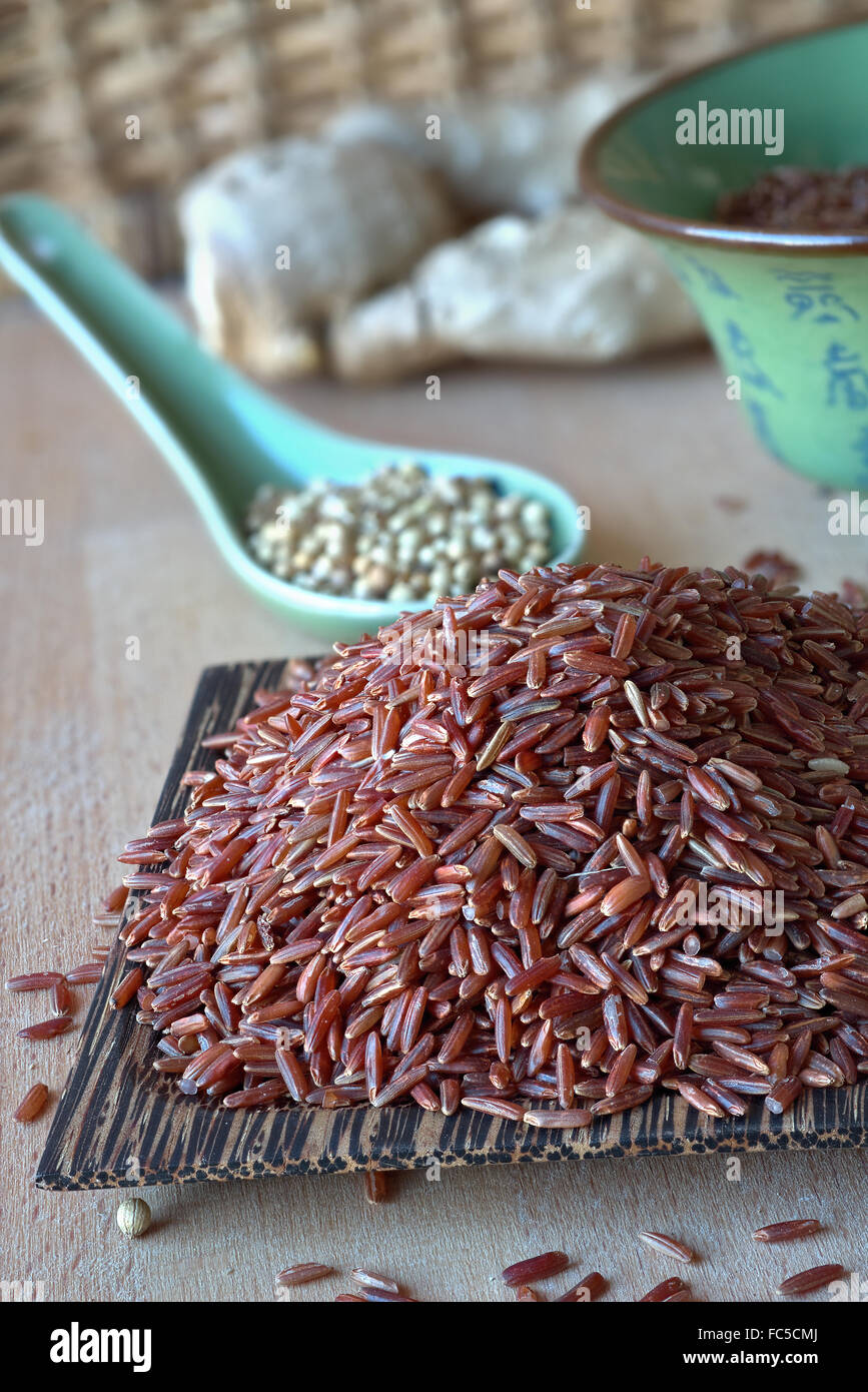 Lis rouge au gingembre ou tout simplement rouge Banque de photographies ...