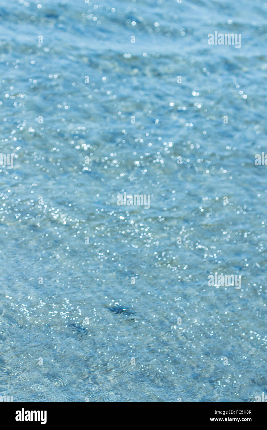 Mer transparente Banque de photographies et d’images à haute résolution ...