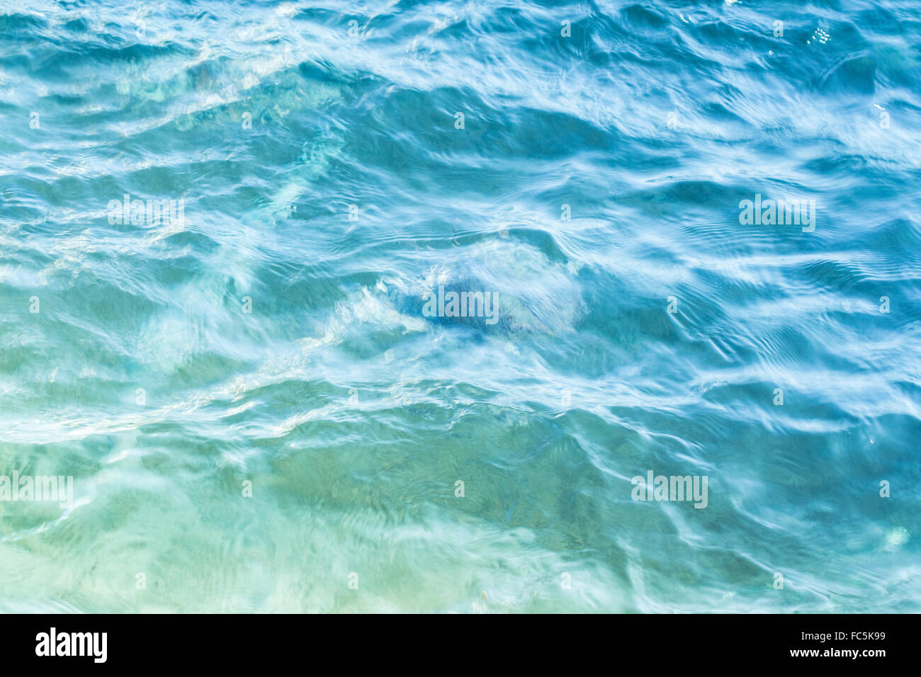 Eaux transparentes de la mer Banque de photographies et d’images à ...