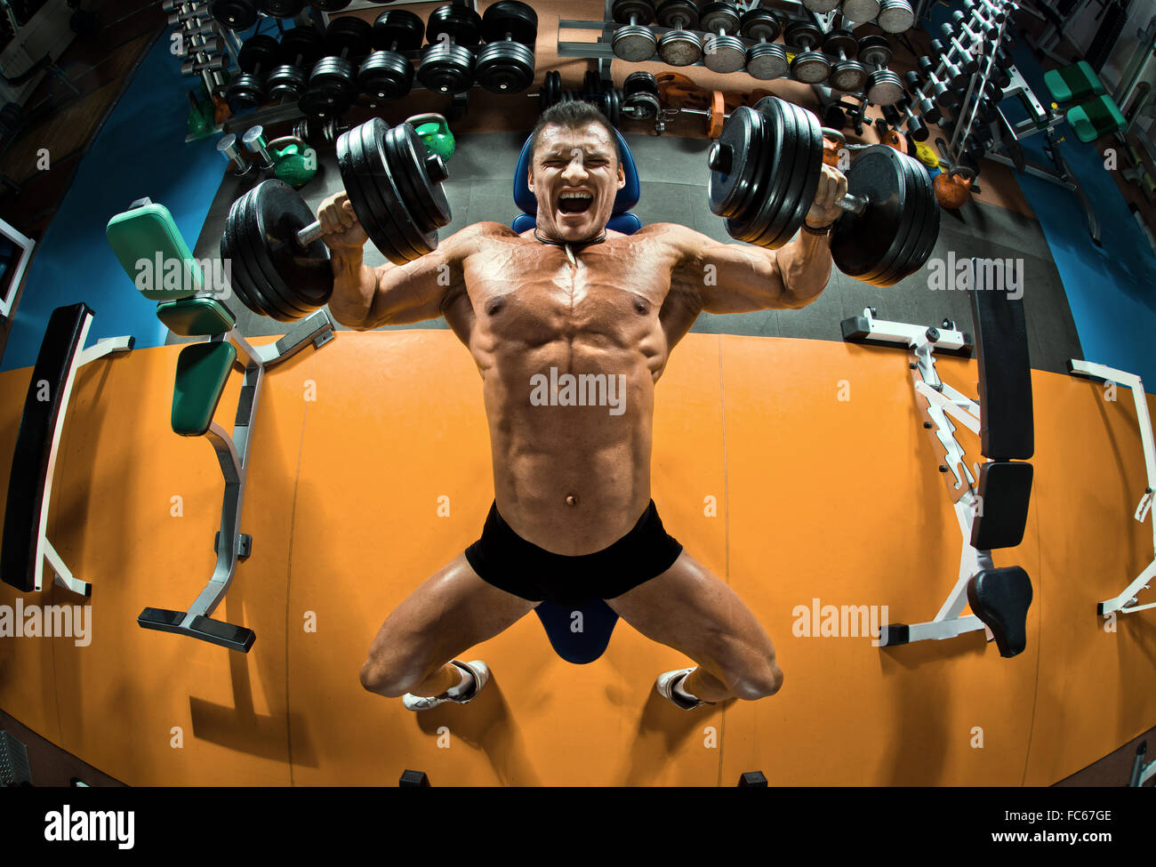Bodybuilder de poids Banque de photographies et d’images à haute ...