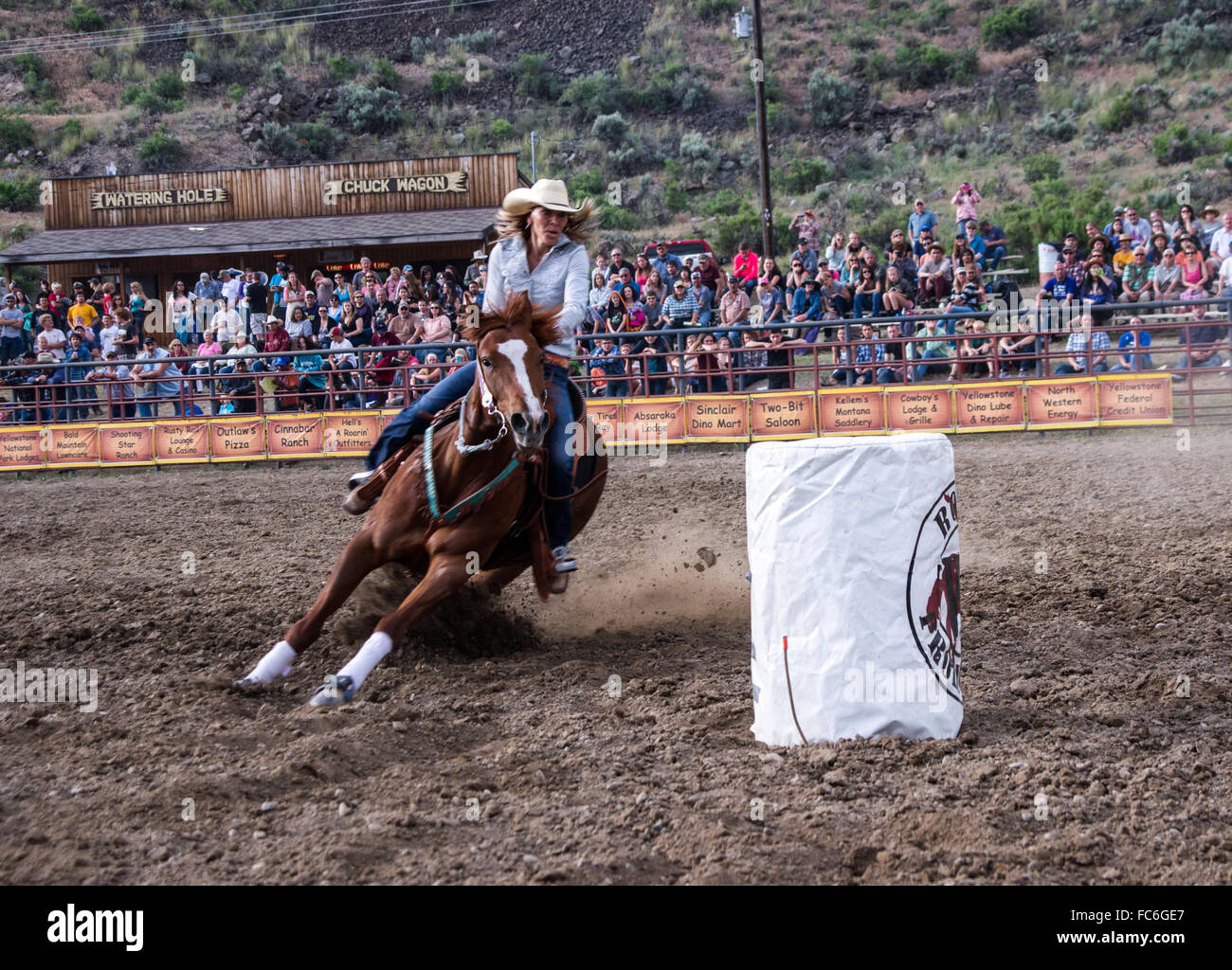 Cheval de course de baril Banque de photographies et d’images à haute ...
