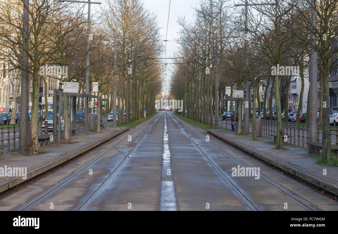 Province d'anvers belgique Banque de photographies et d’images à haute ...