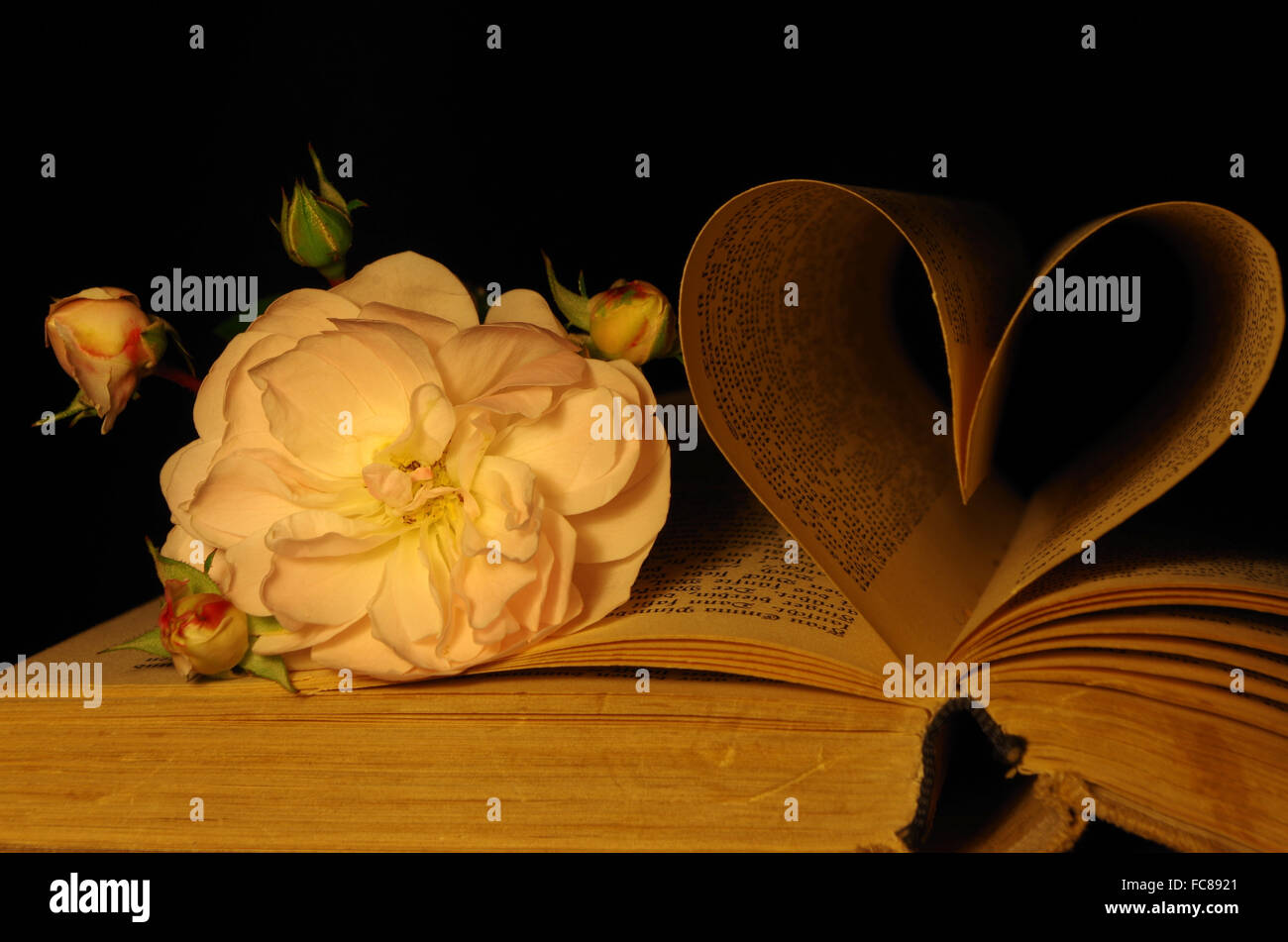 Sutterlin script Banque de photographies et d’images à haute résolution ...