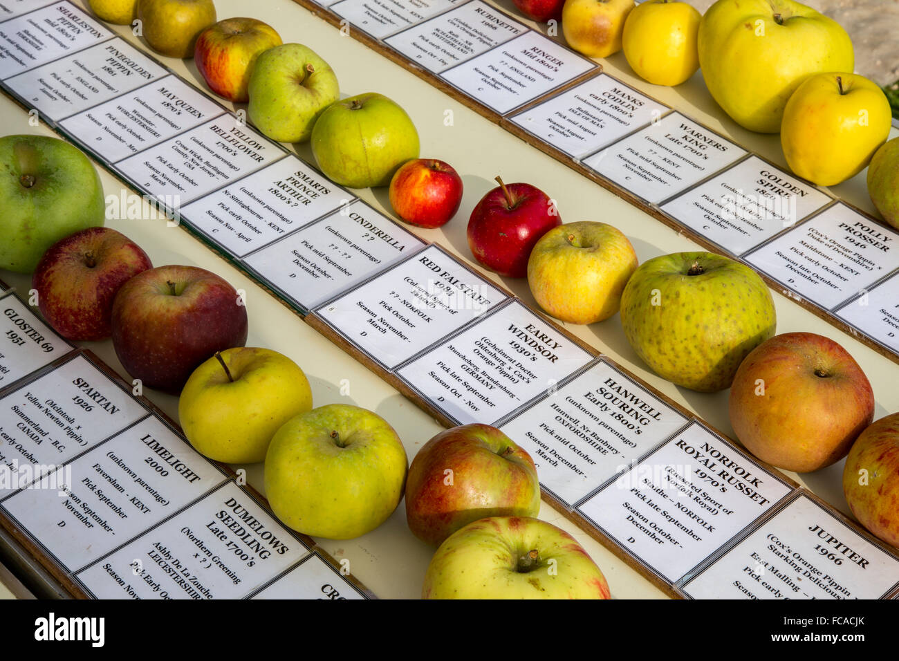 Les variétés de pommes à Madehurst fête de la pomme, West Sussex Photo ...