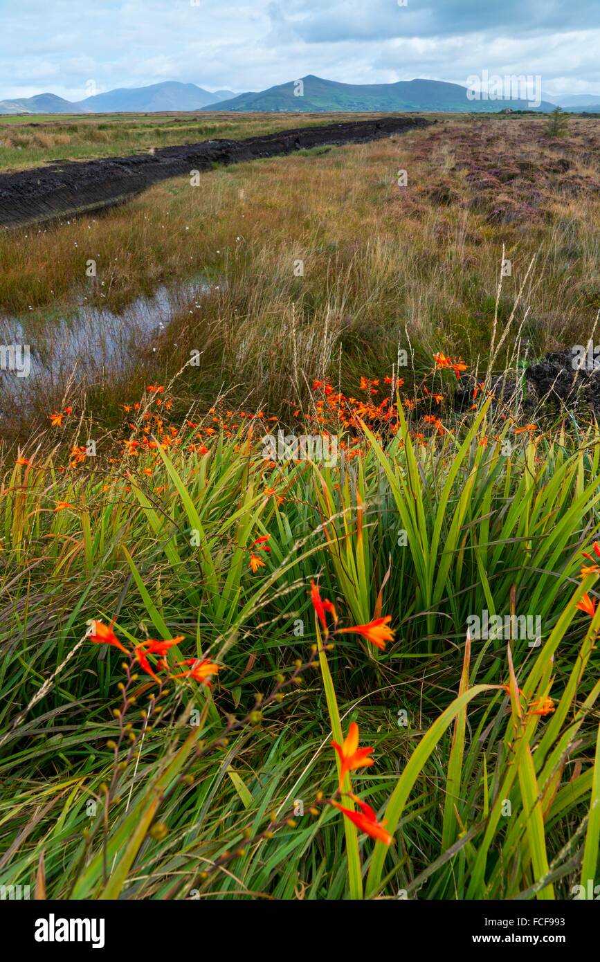 Tourbe extraction Banque de photographies et d’images à haute ...