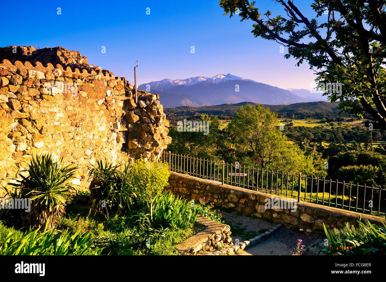 Paysage. Montalba-le-Château, l'emplacement, située dans le département ...