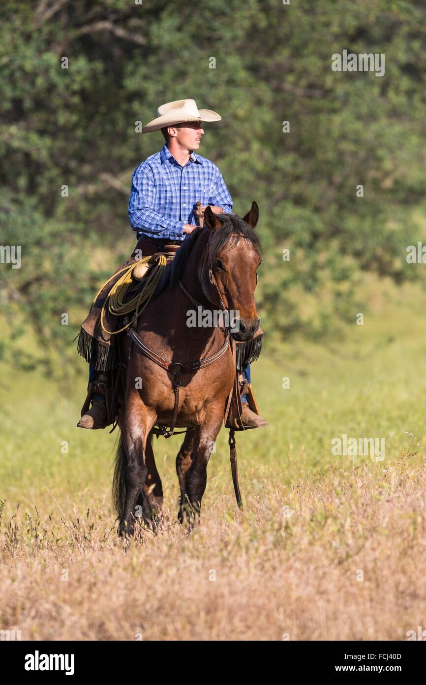 Cow boy et son cheval Banque de photographies et d’images à haute ...