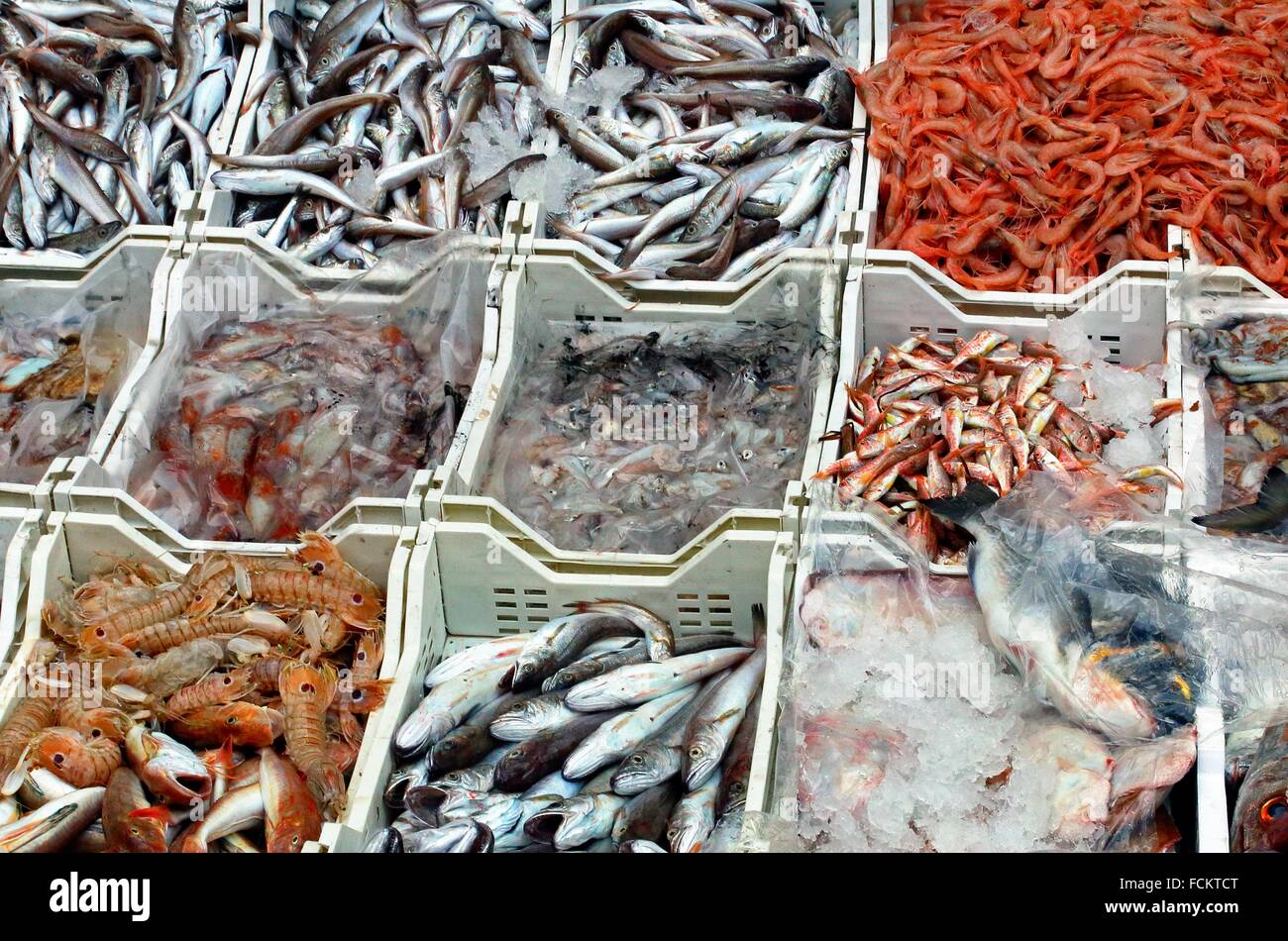 Piazza carlo alberto market Banque de photographies et d’images à haute ...