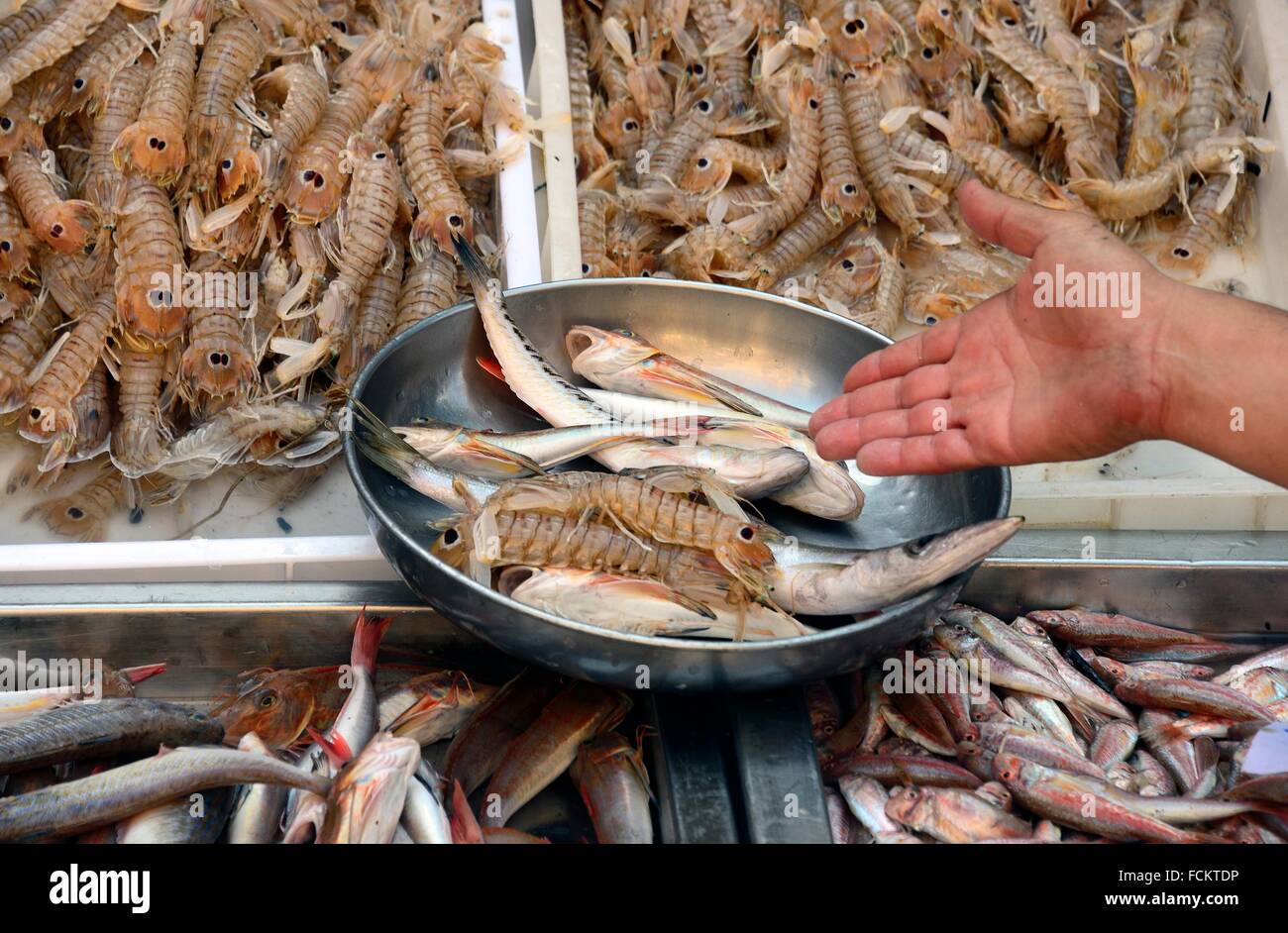 Piazza carlo alberto market Banque de photographies et d’images à haute ...