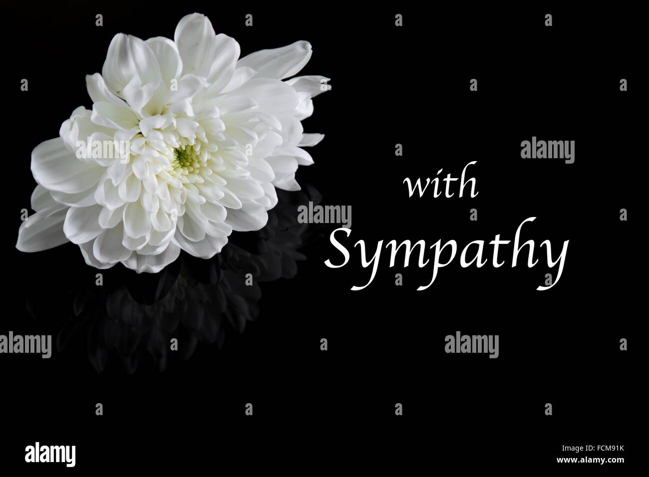 Sympathie sincère Banque de photographies et d’images à haute ...