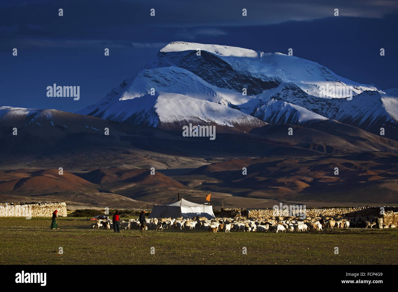 Gurla mandhata Banque de photographies et d’images à haute résolution ...