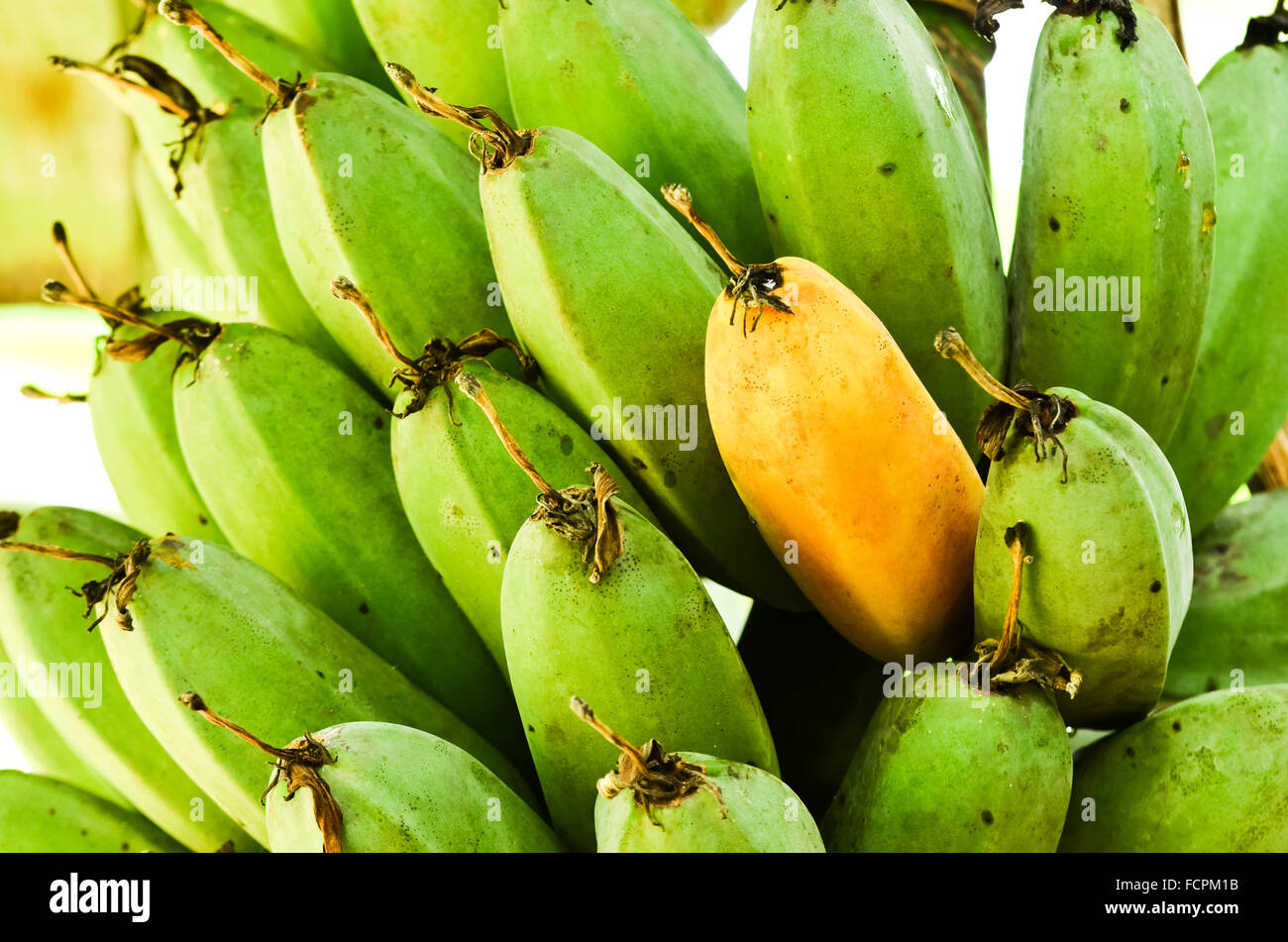 Maturation des bananes Banque de photographies et d’images à haute ...
