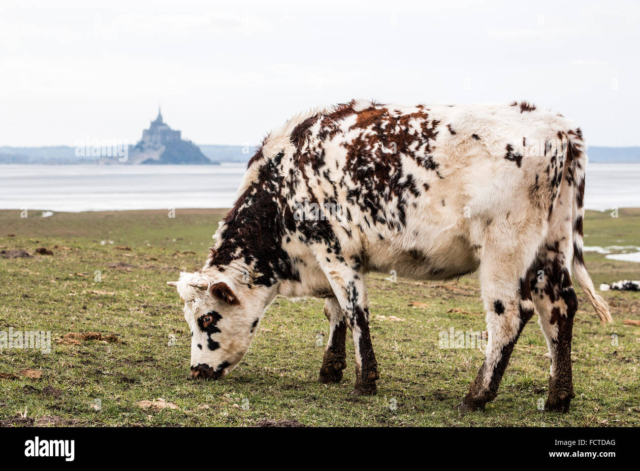 Mont Saint-Michel (Saint Michael's Mount), (Normandie, nord-ouest de la ...