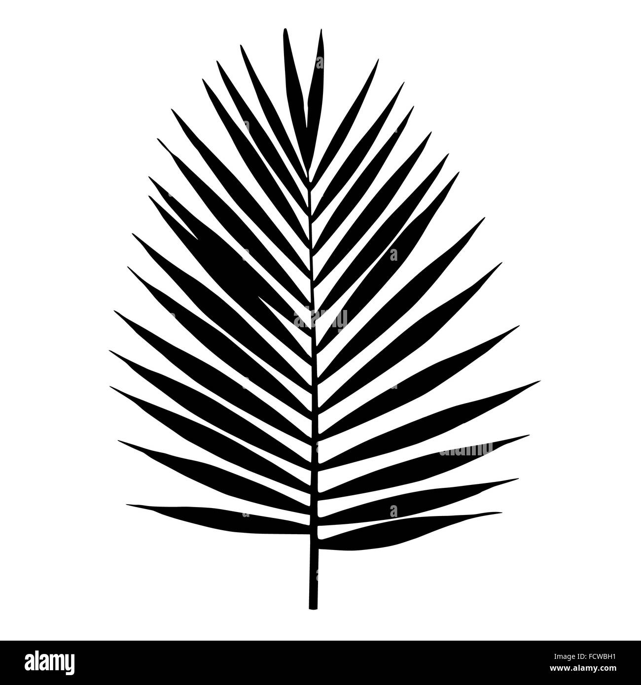 La silhouette de la feuille de palmier. Vector illustration. Les ...