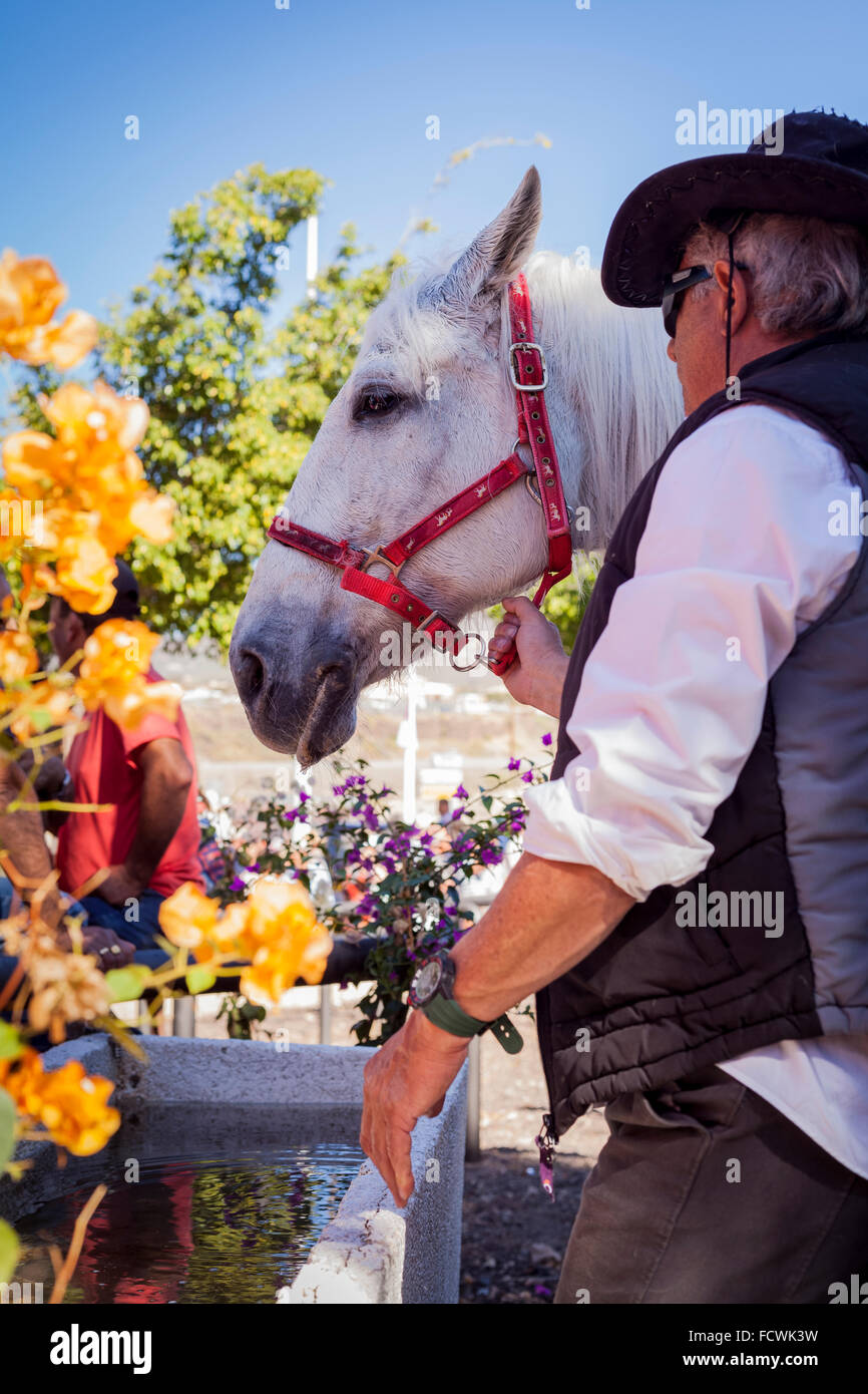 Cavalier à cheval à l'abreuvoir au Fiesta San Sebastian, La Caleta ...