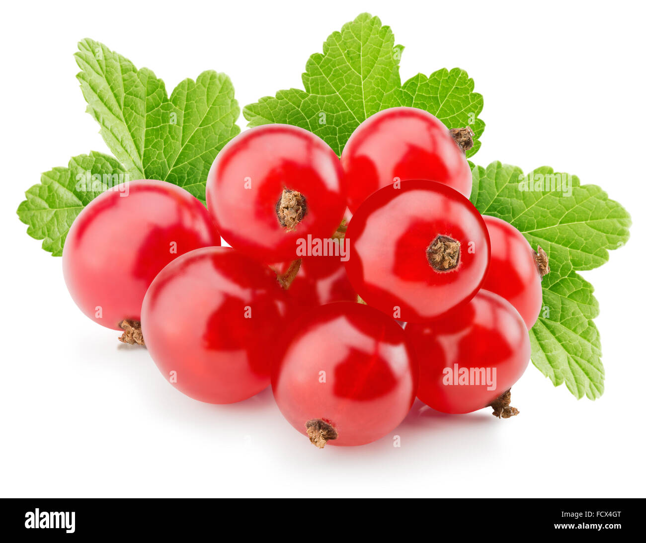 Bouquet de groseilles blanches Banque de photographies et d’images à ...