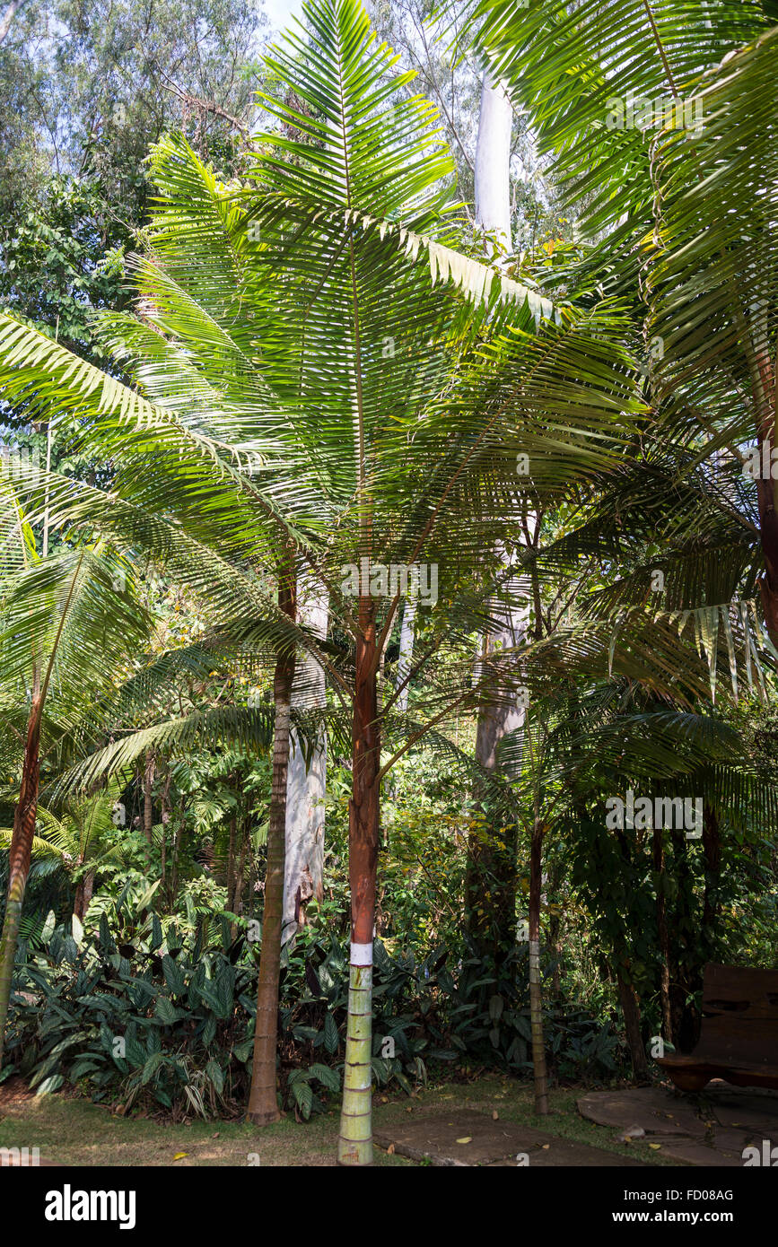 Redneck palm Banque de photographies et d’images à haute résolution - Alamy