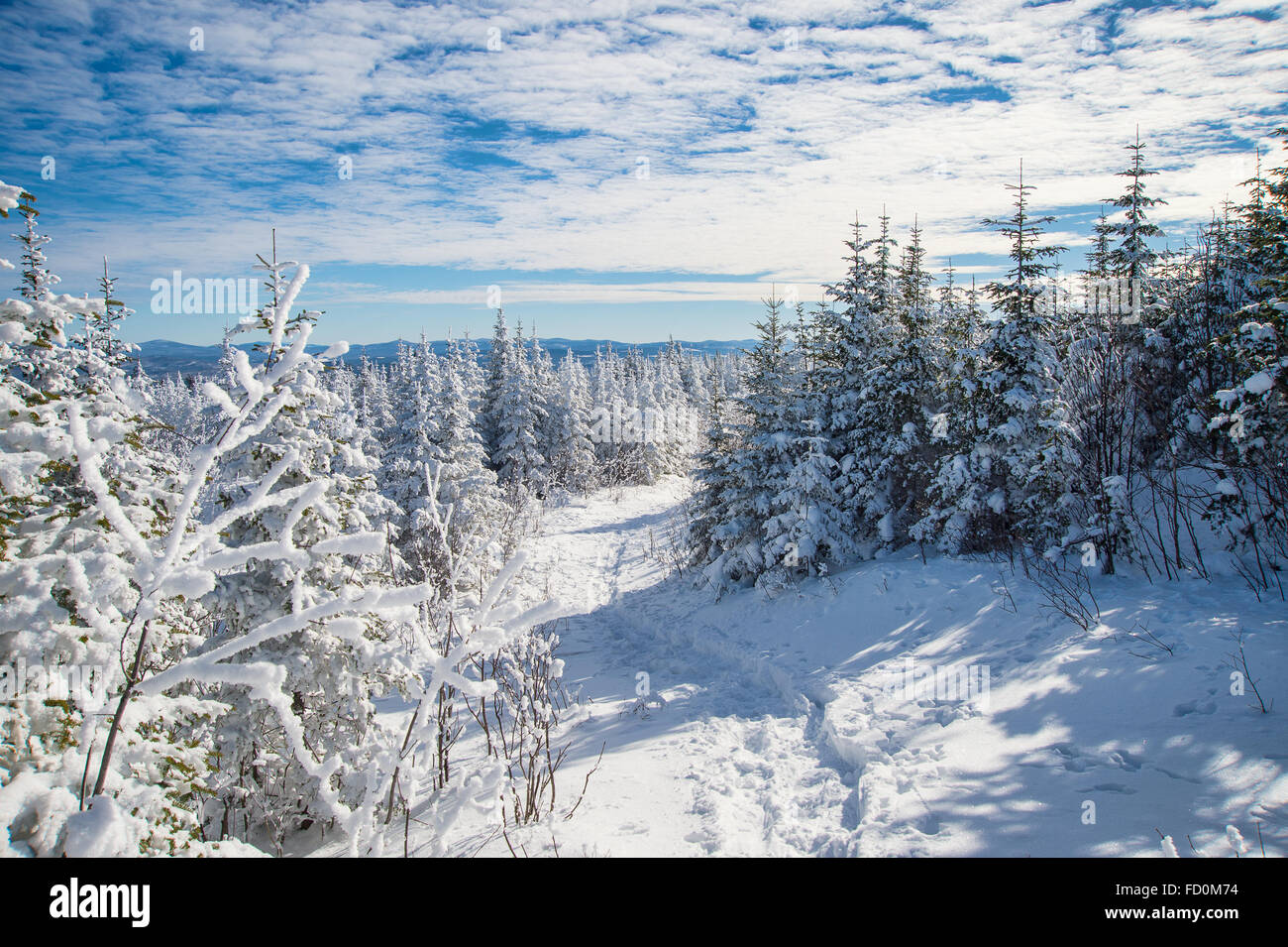 Beau paysage de neige dans la région de l'Estrie au Québec, Canada ...