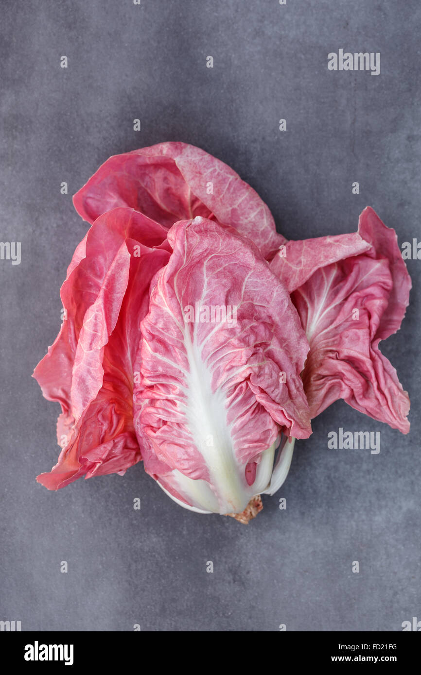 Salade de radicchio Banque de photographies et d’images à haute ...