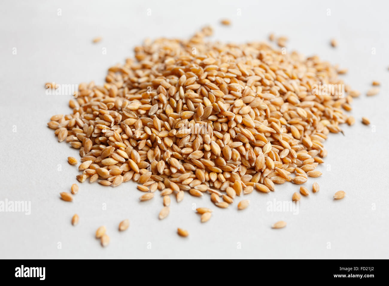 Einkorn wheat Banque de photographies et d’images à haute résolution ...