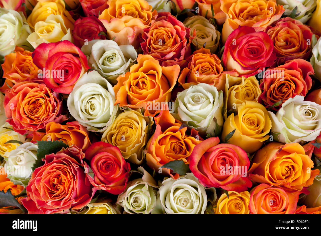 Bouquet de roses blanches Banque de photographies et d’images à haute ...