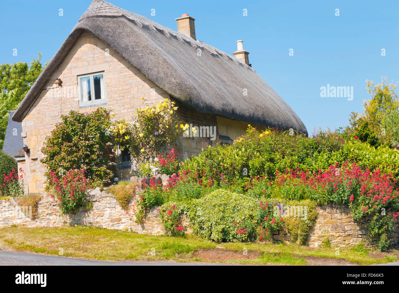 Toit de chaume traditionnel anglais Cotswold cottage en pierre dorée ...