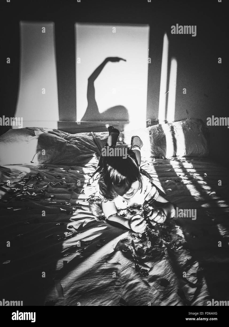 Ombre Humaine Banque De Photographies Et Dimages à Haute Résolution