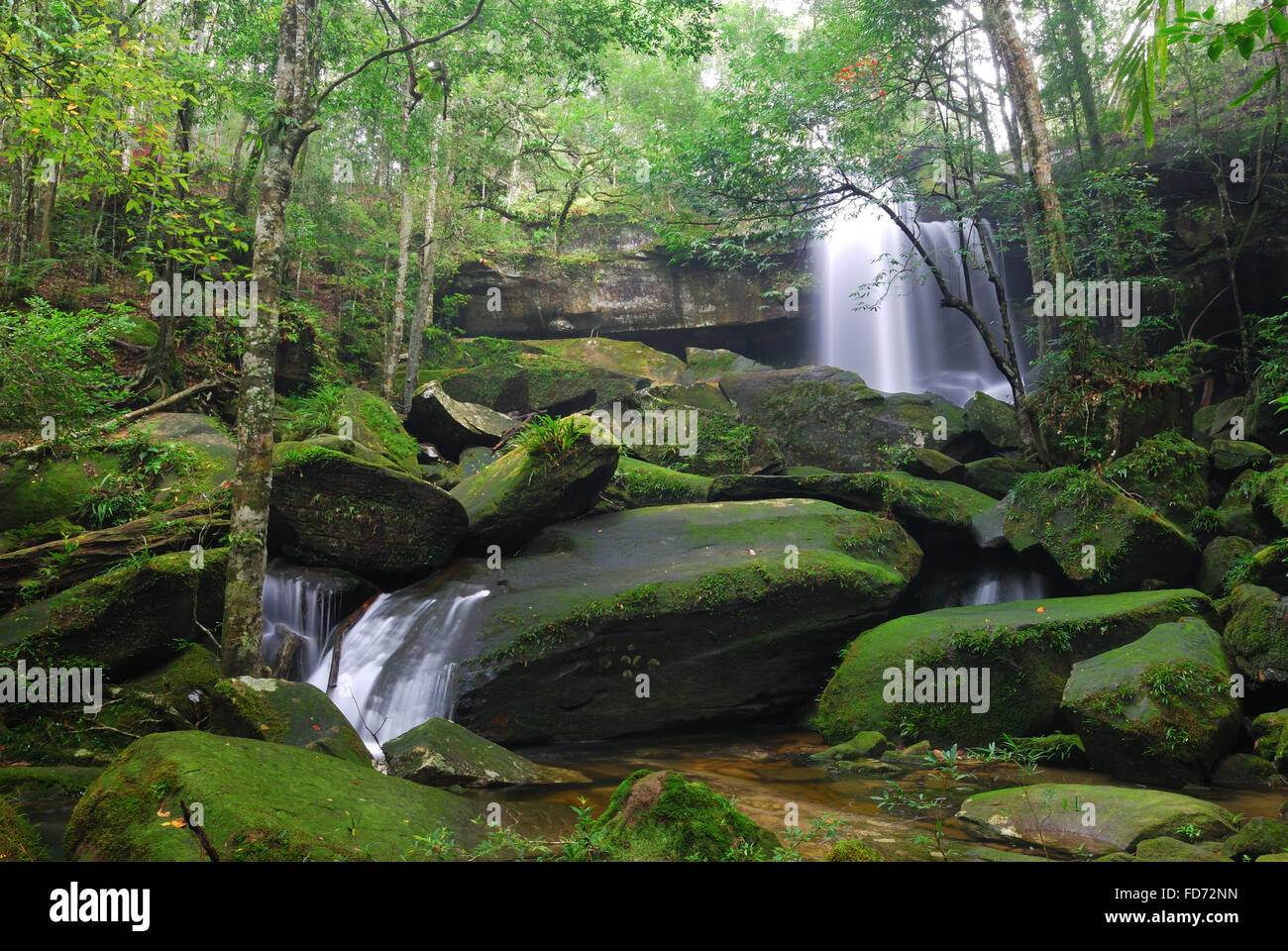 Roches couvertes de mousse et cascade Banque de photographies et d ...