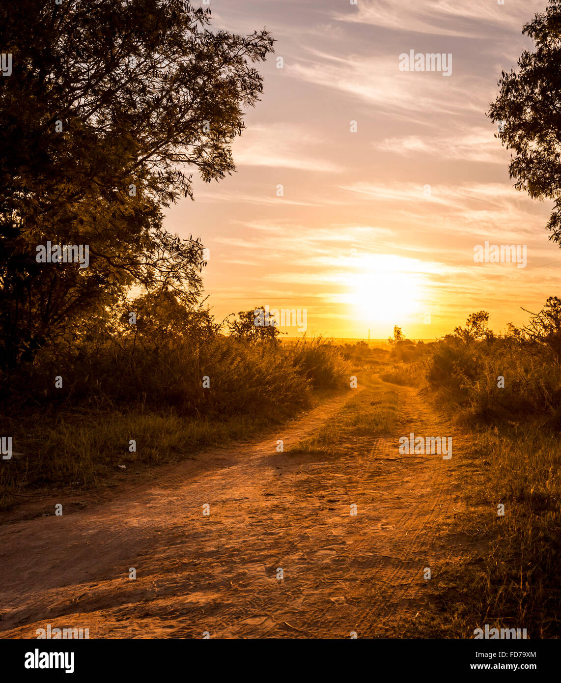 Une route africaine Banque d'image et photos - Alamy